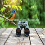 Birdwatching for Beginners Guide: Tips, Gear, and Best Spots