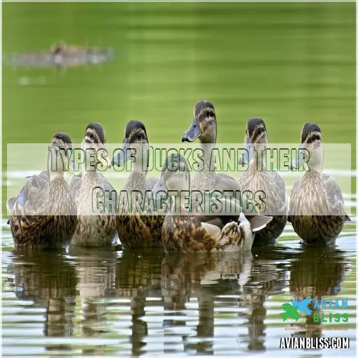 Are Ducks Birds? Discover Surprising Facts & Insights!