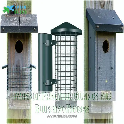 Bird Houses With Predator Protection: 4 Best Options to Keep Birds Safe