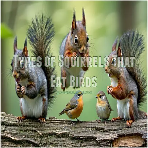 Do Squirrels Eat Birds? Shocking Facts About Their Diet and Behavior
