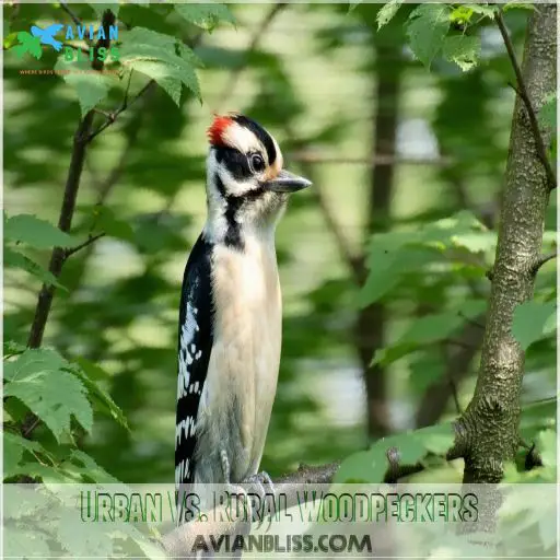 Woodpeckers of Ohio: a Guide to Common and Rare Species