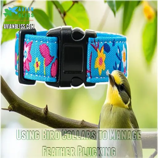 Bird Feather Plucking Stress: Causes and Solutions Explained