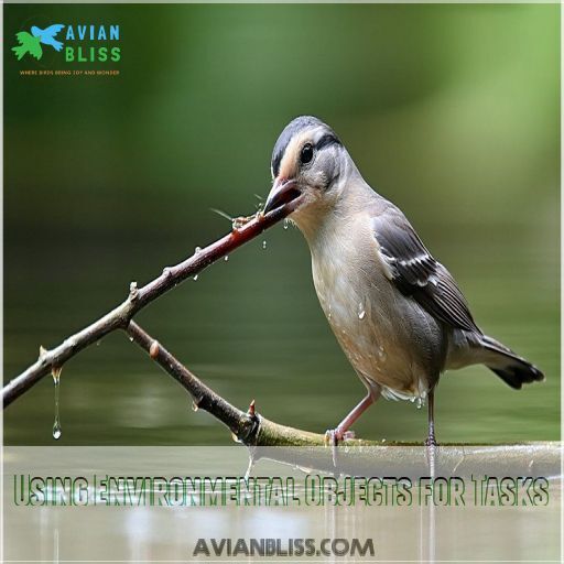 Surprising Facts About Bird Intelligence: Nature's Brainy Flyers