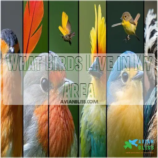 What Birds Live in My Area: Virginia Bird Identification Guide