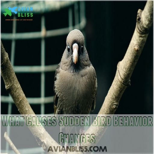 Sudden Bird Behavior Changes: 7 Warning Signs You Can't Ignore in 2024