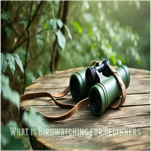 Birdwatching for Beginners Guide: Tips, Gear, and Best Spots