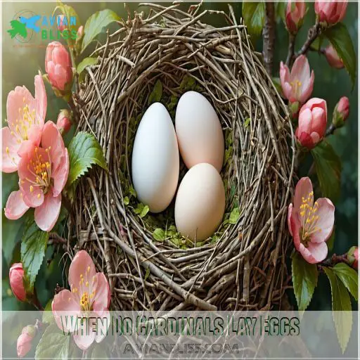 When Do Cardinals Lay Eggs? Amazing Facts!