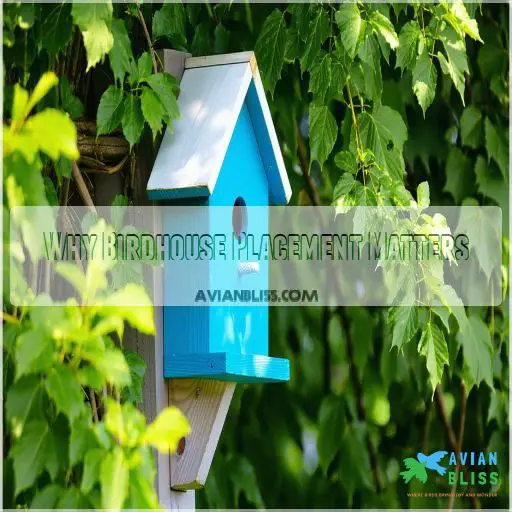 How to Attract Birds to Bird Houses: Pro Tips & Tricks