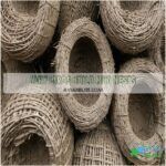 14 Birds That Make Stunning Mud Nests (With Unbelievable Photos!)