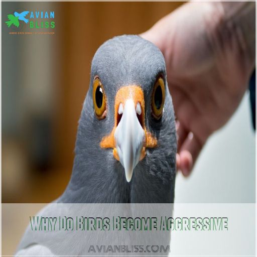 Bird Aggression Change: Tips for Managing Avian Behavior