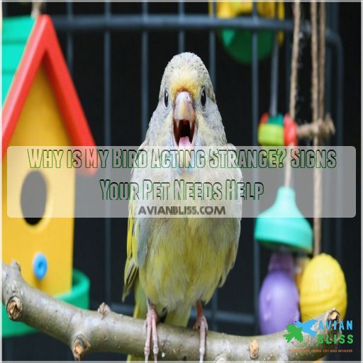 Why is My Bird Acting Strange? Signs Your Pet Needs Help