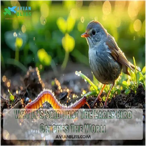 How Do Birds Find Worms? Secrets Behind Their Incredible Senses