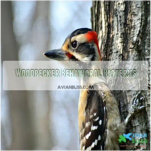 Woodpeckers in New York: Meet All The Stunning Species!