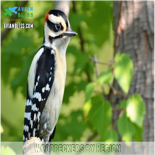 Woodpeckers of Ohio: a Guide to Common and Rare Species