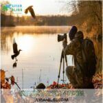 Best Camera Settings for Bird Photography: Pro Secrets Revealed!