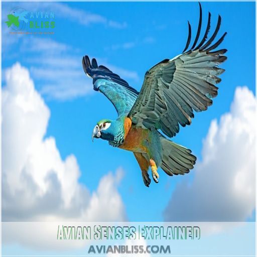 Birds With Unique Characteristics: Mind-Blowing Facts Revealed!