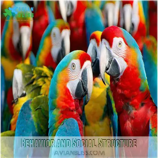 Parrots in Texas: Why These Vibrant Birds Are Thriving Across The State