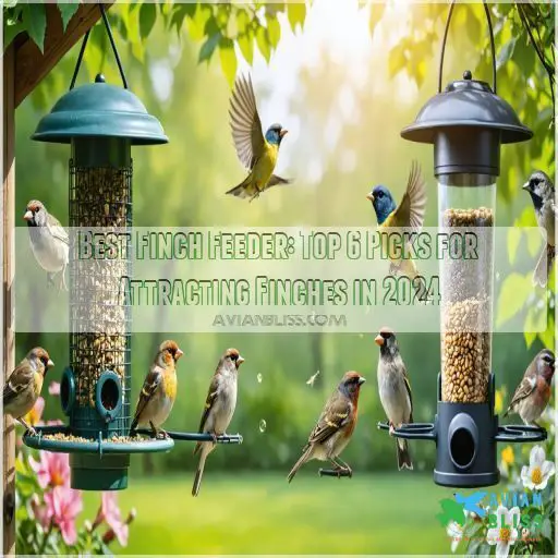Best Finch Feeder: Top 6 Picks for Attracting Finches in 2024