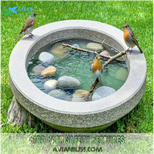 Shallow Bird Bath for Robins: 10 Expert Tips for Happy Bathing Birds
