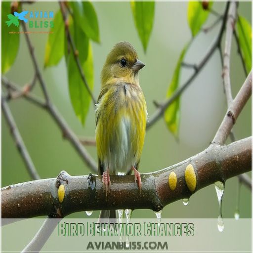 How to Spot Sick Birds: 7 Warning Signs You Can't Ignore!