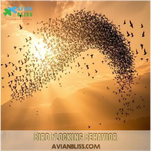 Bird Flocking Behavior: Nature's Secret Code to Survival Revealed!