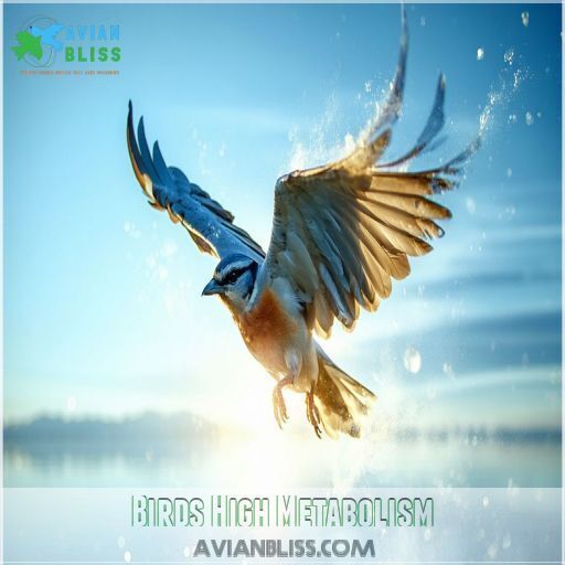 Birds With Unique Characteristics: Mind-Blowing Facts Revealed!