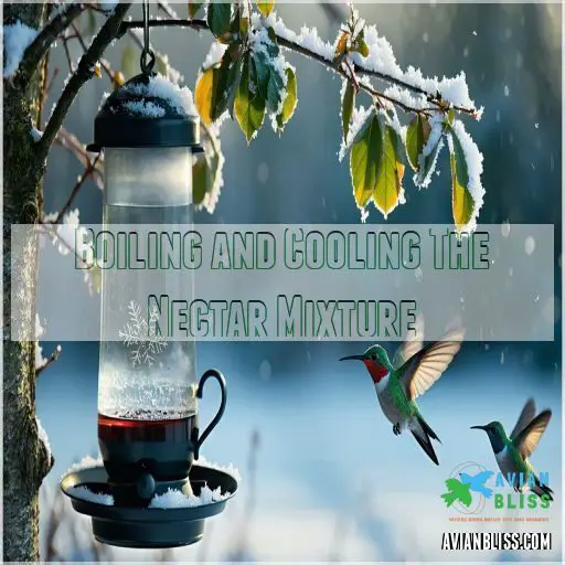 How to Keep Hummingbird Feeders From Freezing: Simple Winter Tips