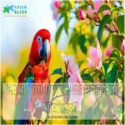 Parrots in Texas: Why These Vibrant Birds Are Thriving Across The State