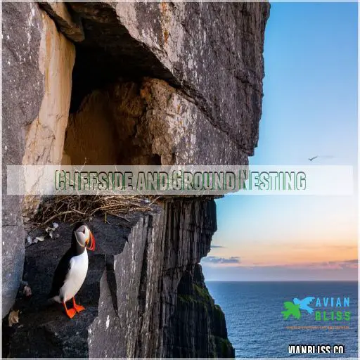 Types of Bird Nests: 12 Amazing Structures That Will Blow Your Mind