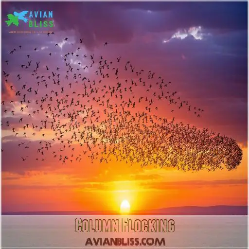 Bird Flocking Behavior: Nature's Secret Code to Survival Revealed!