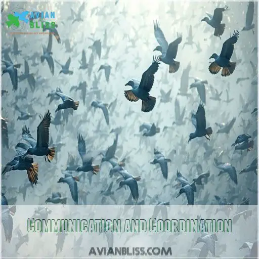 Bird Flocking Behavior: Nature's Secret Code to Survival Revealed!