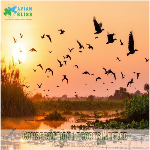 Migratory Bird Patterns: How Climate and Habitat Shape Their Journeys