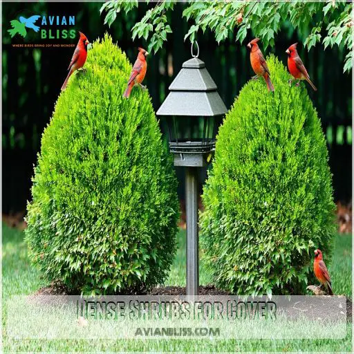 Bird Food to Attract Cardinals: 7 Proven Seeds That Bring Them to Your Yard