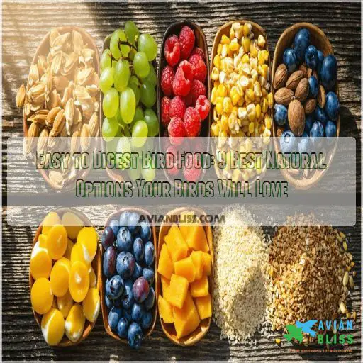 Easy to Digest Bird Food: 9 Best Natural Options Your Birds Will Love