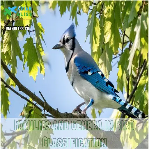 What Are Birds Classified As? Secrets of Avian Taxonomy Revealed!