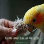 Bird Losing Feathers Disease: 7 Critical Signs You Can't Ignore in Pet ...