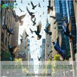 Common Grackle Secrets: Wild Birds That Rule Urban Skies!