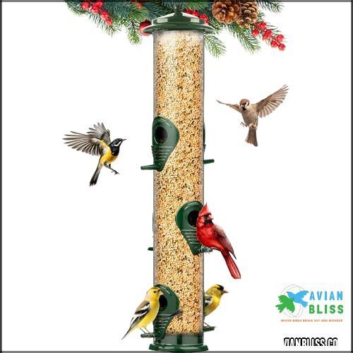 Bird Feeder Food Types: 10 Best Seeds to Attract Backyard Birds