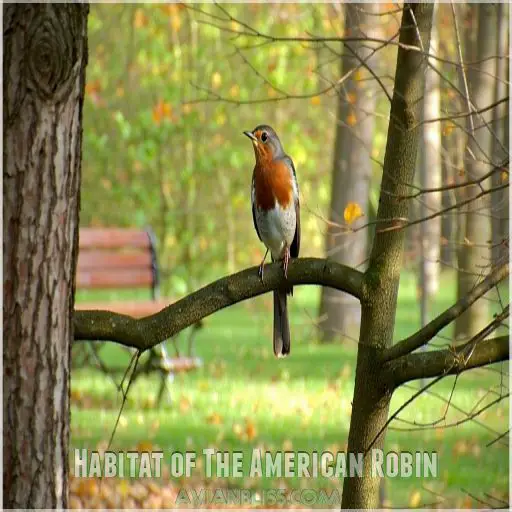 American Robin: Nature's Backyard Singer and Spring's True Herald!