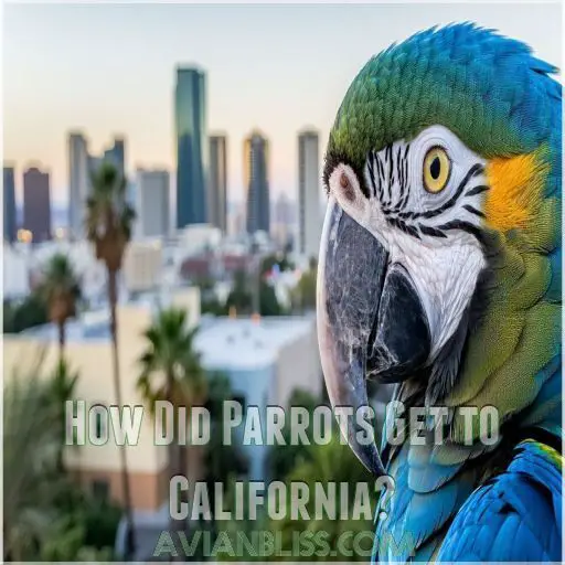 Parrots in California: Wild Birds Taking Over Urban Jungles!