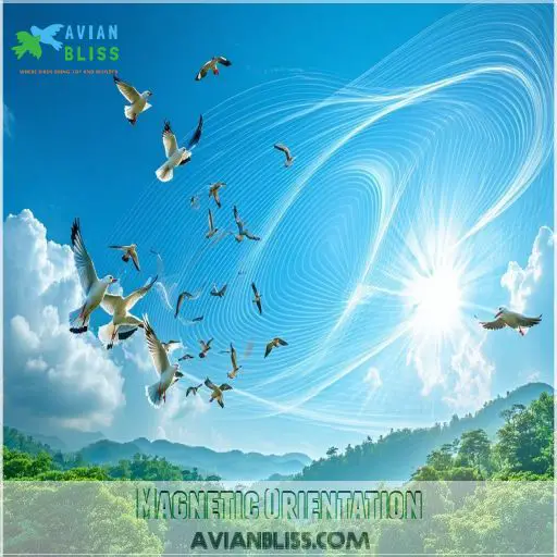 Migratory Bird Patterns: How Climate and Habitat Shape Their Journeys