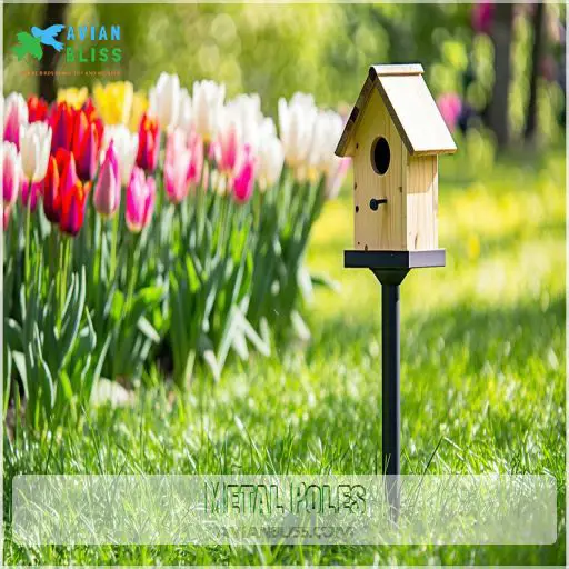 Mounting Bird Houses on Poles or Trees: a Foolproof Guide for Bird ...
