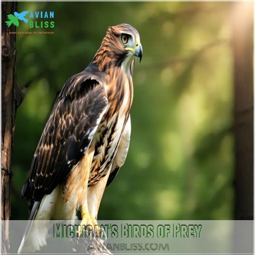 Common Birds in Michigan: Your 2024 Backyard Bird Spotting Guide!