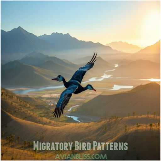 Migratory Bird Patterns: How Climate and Habitat Shape Their Journeys