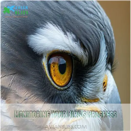 Caring for Sick Birds at Home: Emergency Guide That Saves Lives