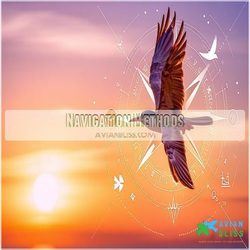 Birds With Unique Characteristics: Mind-Blowing Facts Revealed!