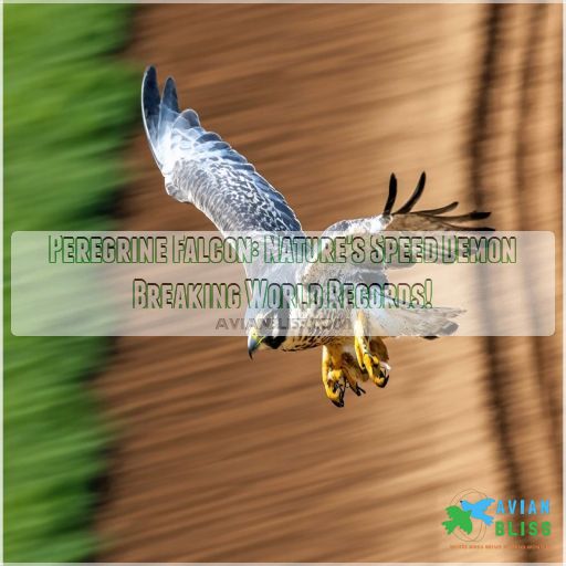 Peregrine Falcon: Nature's Speed Demon Breaking World Records!