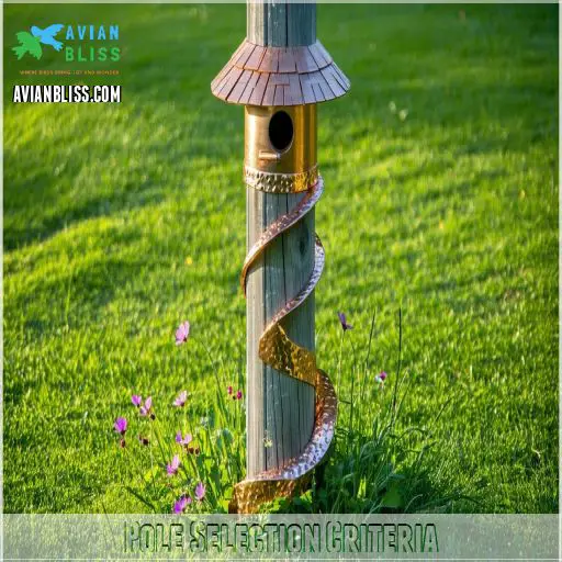 Mounting Bird Houses on Poles or Trees: a Foolproof Guide for Bird ...