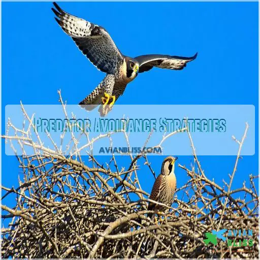 Bird Predator Avoidance: Shocking Survival Secrets Revealed!