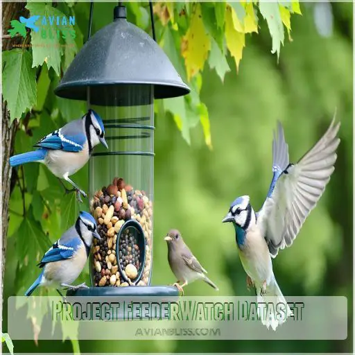 Bird Social Interactions: Feathered Friends' Secret Lives Revealed!